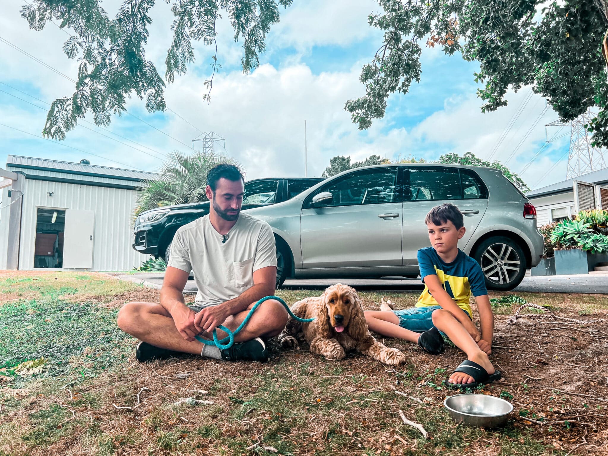 Dog Training | Hire Dog Trainer NZ | Advanced Dog Training