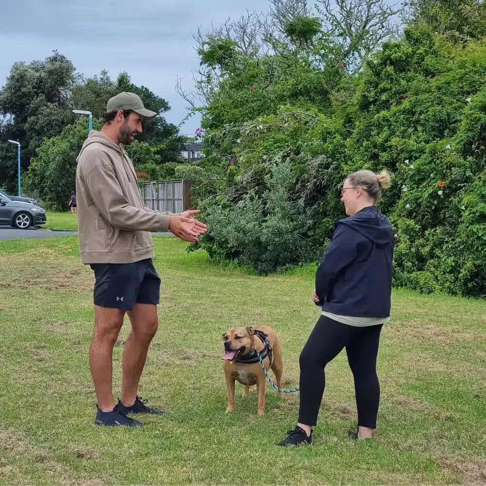 Good Dog Training | Transformative Private Consultations