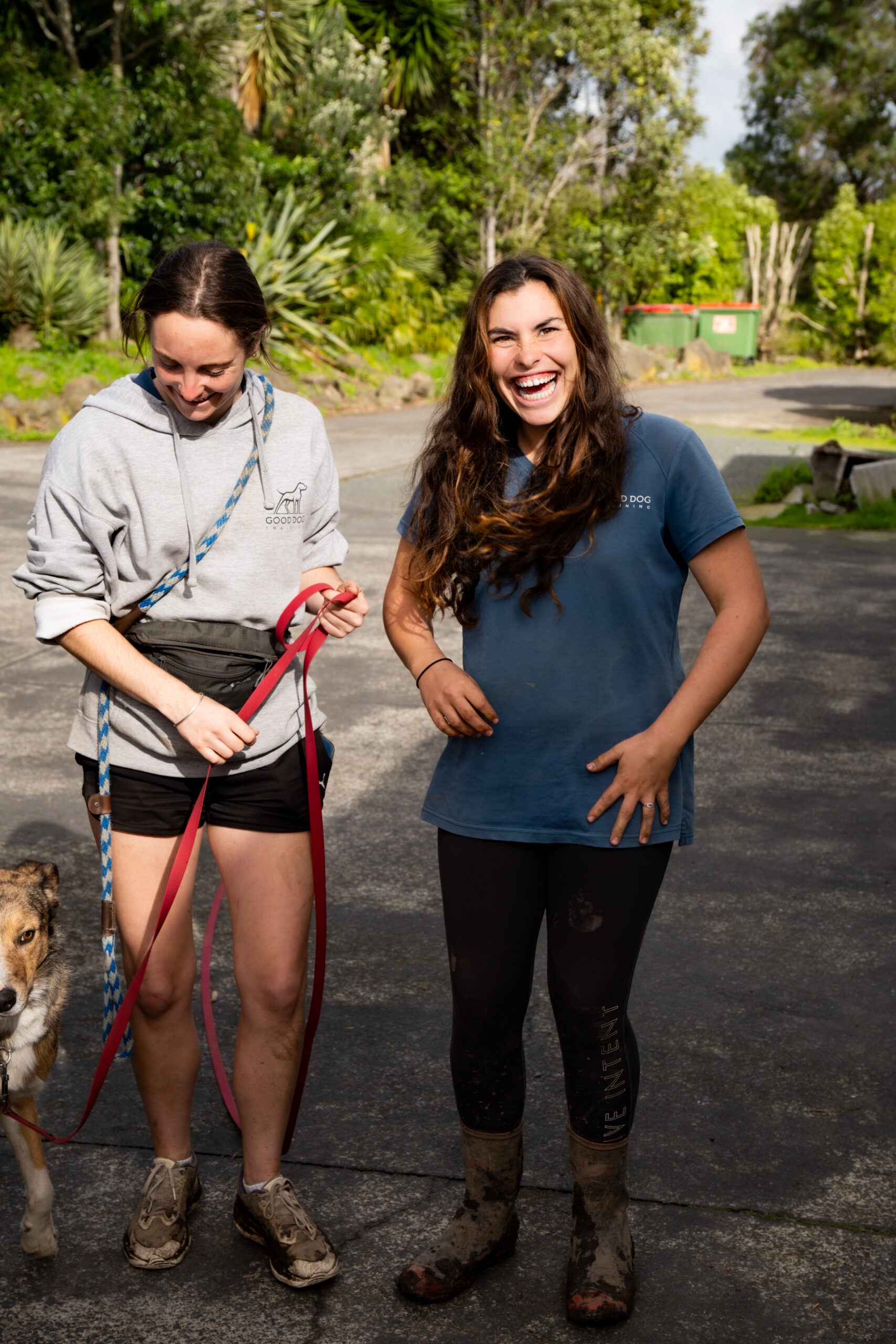 About Good Dog Training Auckland | Expert Team &Methods